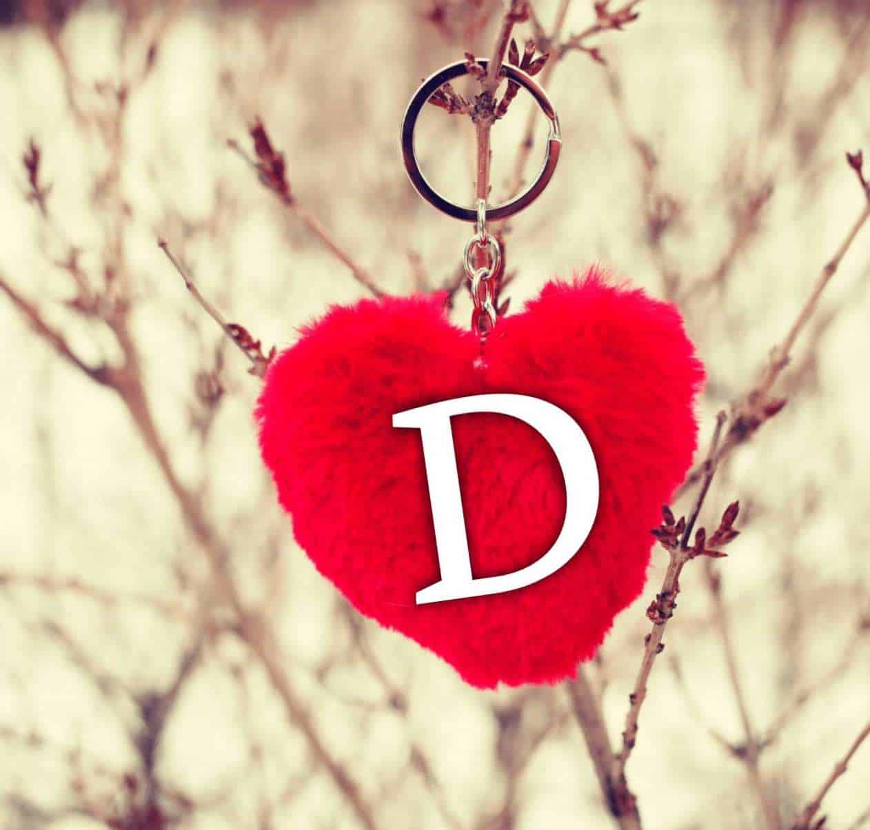 D Name DP: Love Image, Pic, Photos & Wallpaper