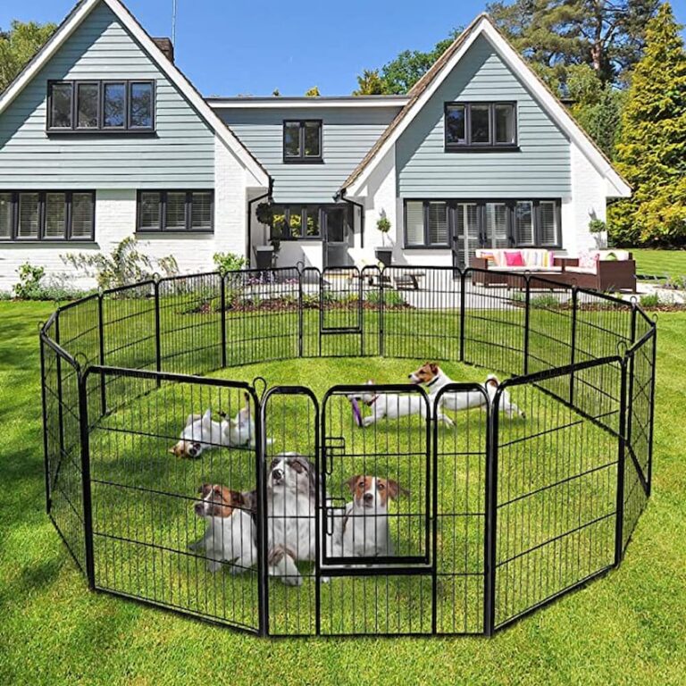 Invisible Dog Fences: Making Outdoor Spaces Secure and Beautiful